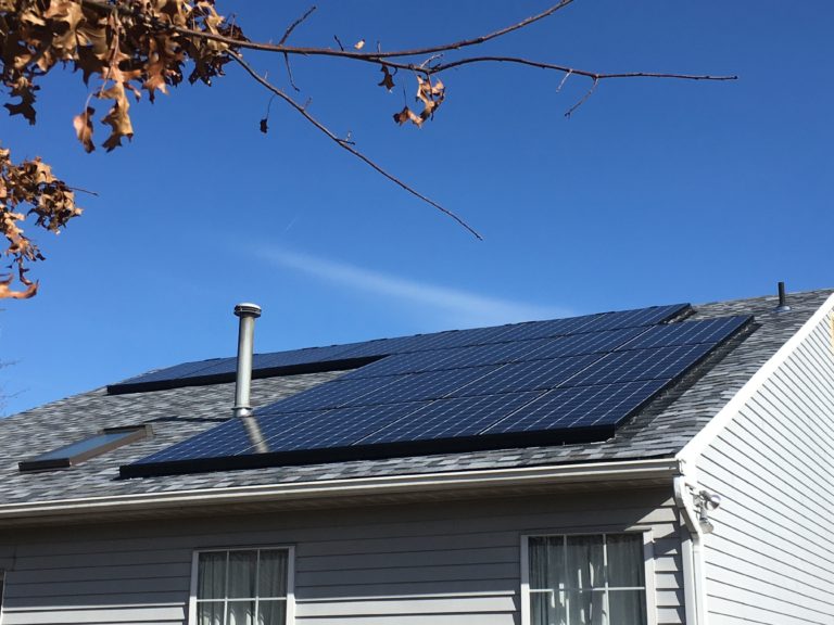 Solar Panel Animal Guard | Protect Your Solar Investment | Impact Solar ...